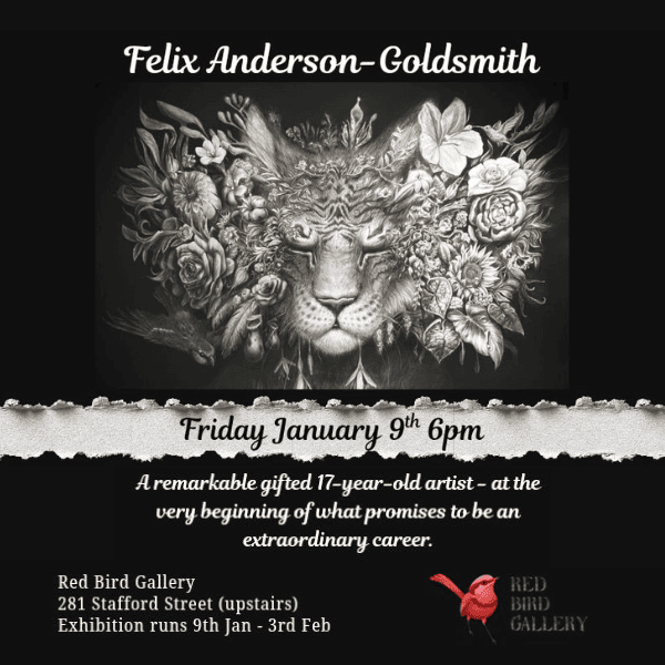 Felix Anderson-Goldsmith Debut Exhibition - South Canterbury Regional ...