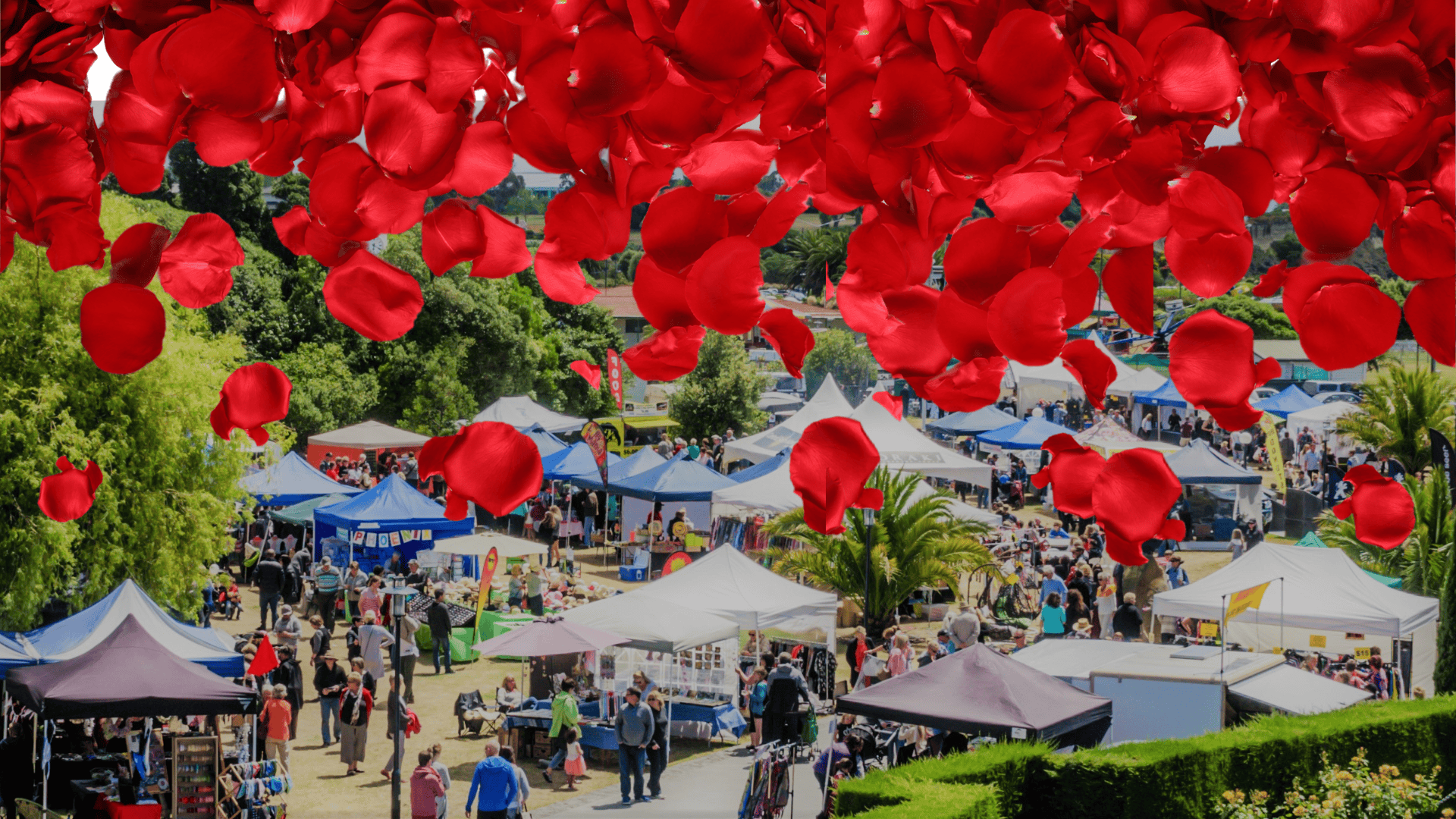 Timaru Festival of Roses Christmas Market Day - South Canterbury ...