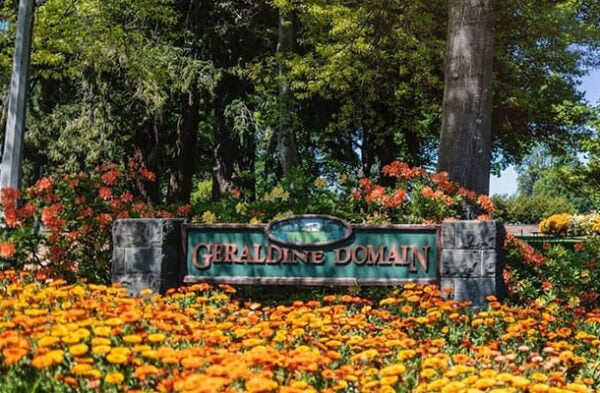 Geraldine - South Canterbury District Website