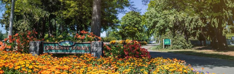 Geraldine - South Canterbury District Website