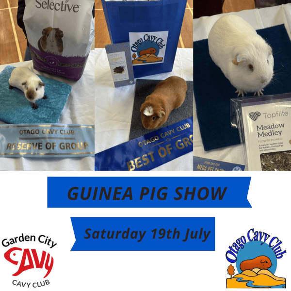 Guinea Pig Show - South Canterbury District Website