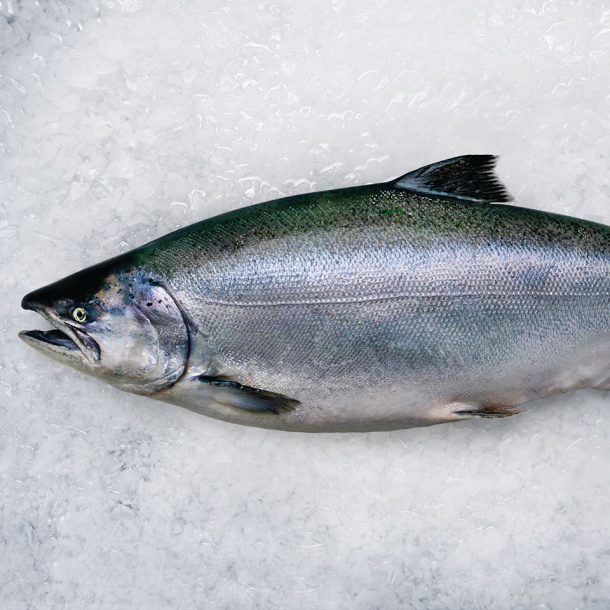 Mount Cook Alpine Salmon - South Canterbury Regional Website