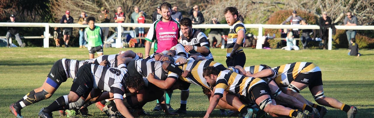 Temuka - South Canterbury District Website