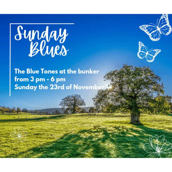 Event: The Blue Tones live at the bunker - South Canterbury District ...