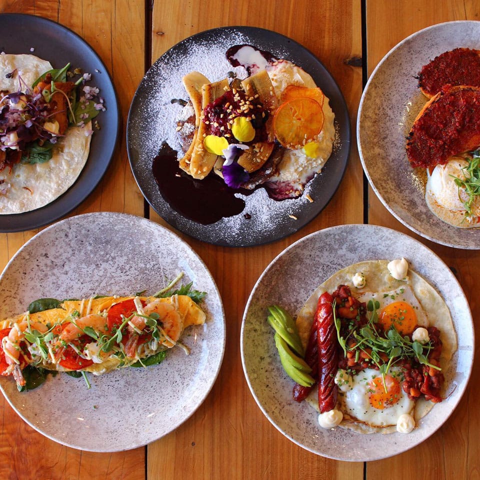 The Greedy Cow - South Canterbury District Website